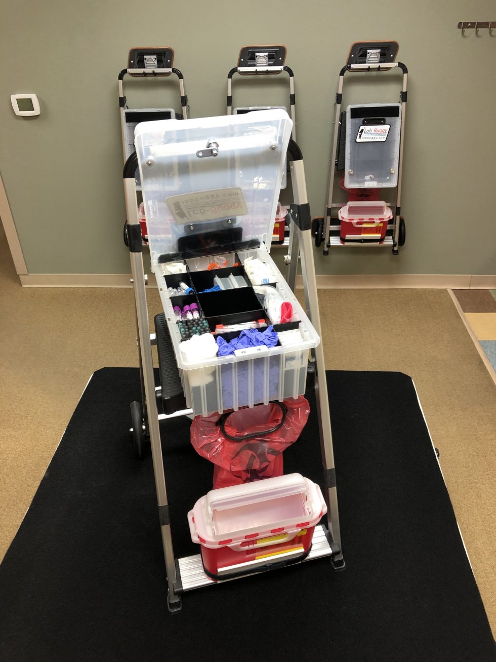 Lab Oratory #4 - My Reason for the Buggy - Lab Buggy